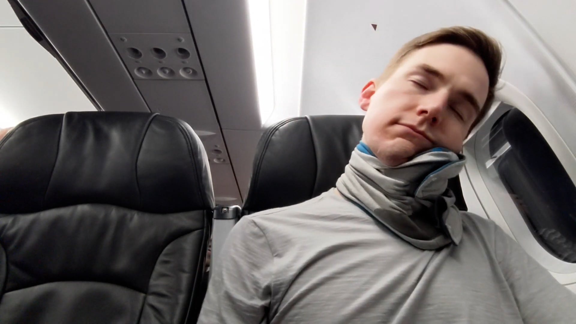 Trtl Travel Neck Pillow Plus | Trtl Travel Aus – AUTrtlTravel